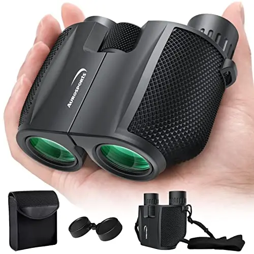 Best Binoculars For Archery Hunting - 2026 Reviews - Woolworth On Fifth
